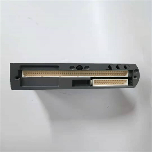 ICS TRIPLEX T9110 - Changxin Automation