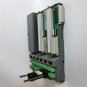 ICS TRIPLEX 9100 - Changxin Automation