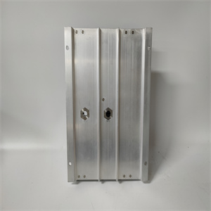 TRICONEX 2401 - Changxin Automation