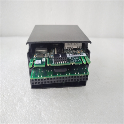 GE IC670ALG310 - Changxin Automation